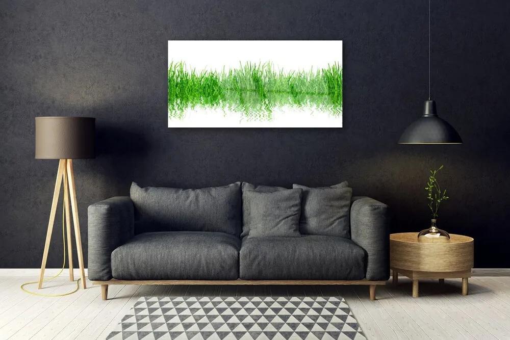 Obraz na skle Tráva Rostlina Příroda 100x50 cm