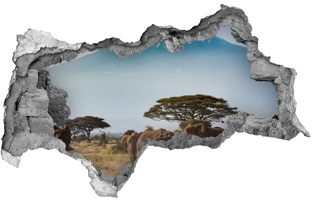Wallmuralia Díra 3D fototapeta Sloni Kilimandžáro 95x73 cm
