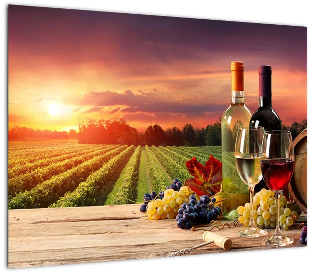 Obraz vinice s vínem (70x50 cm)