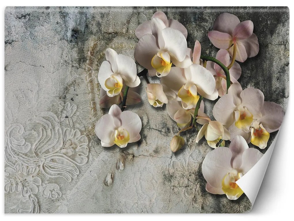 Gario Fototapeta Kvetoucí orchidej na pozadí staré zdi Materiál: Vliesová, Rozměry: 200 x 140 cm