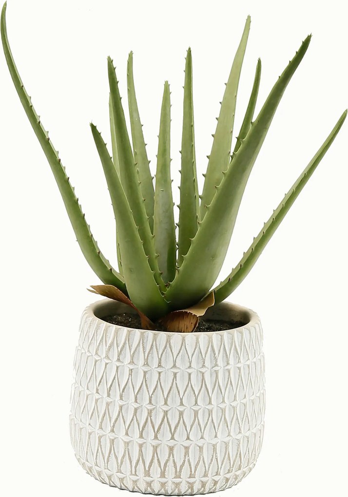 XXXLutz UMĚLÁ ROSTLINA 35 cm - Umělé rostliny - 006860006401