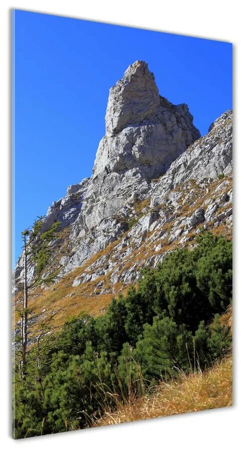 Wallmuralia Vertikální Fotoobraz na skle malý Giewont Tatry 50x100