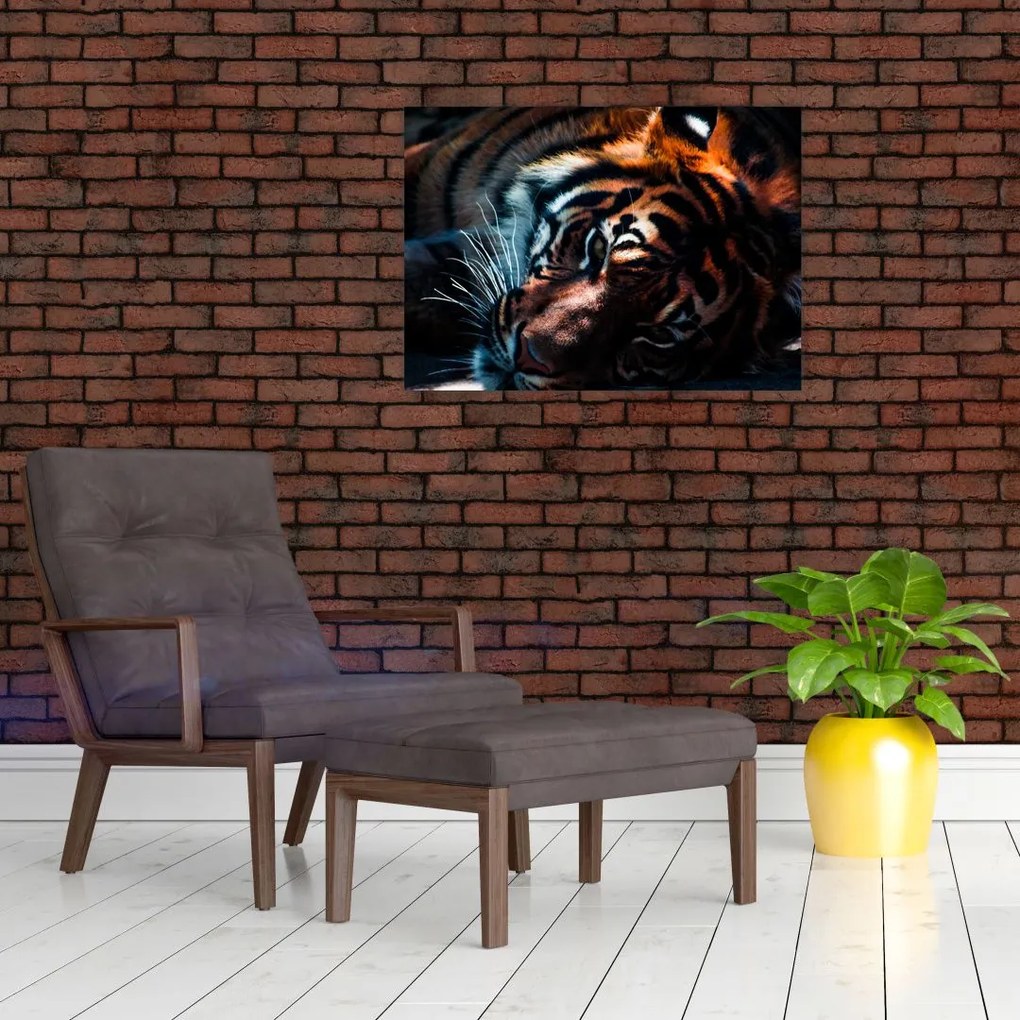 Skleněný obraz ležícího tygra (70x50 cm)