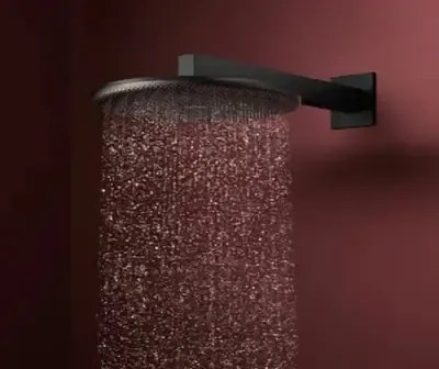 Hansgrohe - Hlavová sprcha, průměr 30 cm, EcoSmart, matná černá