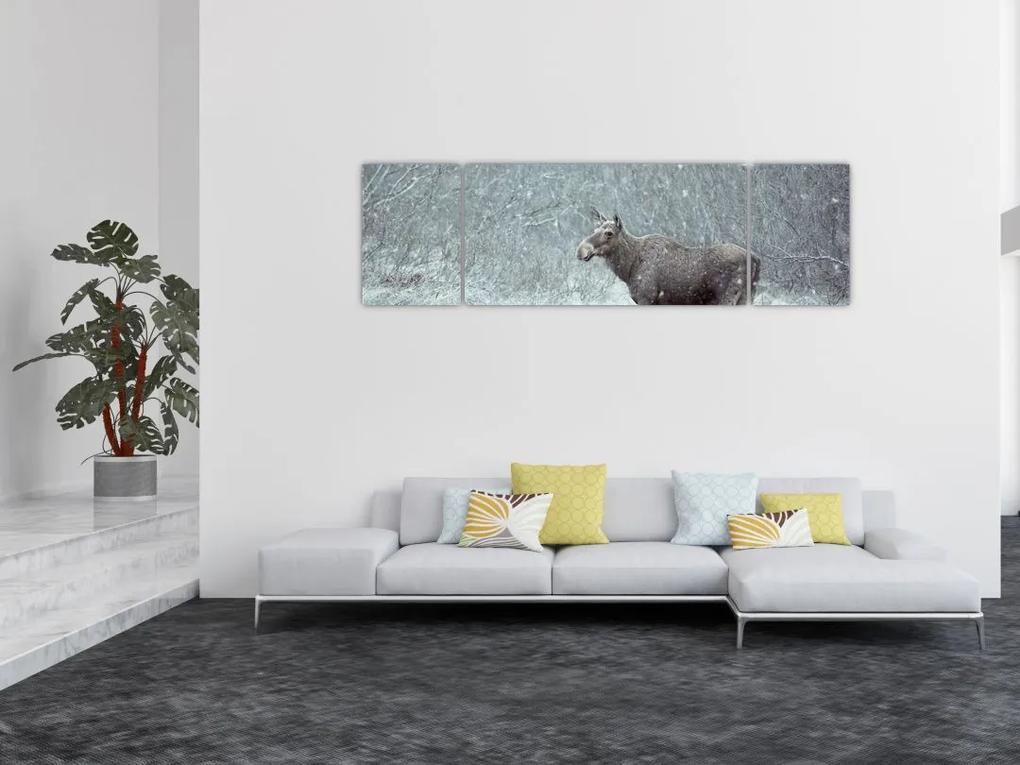 Obraz - Los v zasněženém lese (170x50 cm)