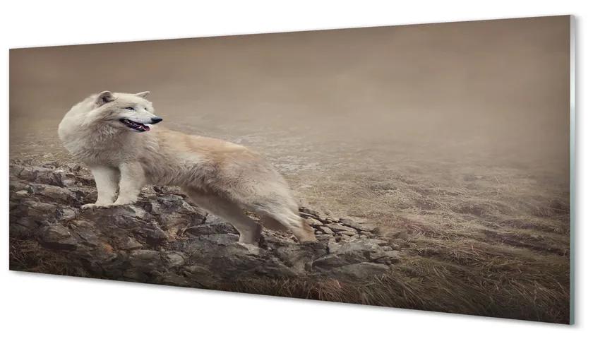 akrylový obraz vlk hory 120x60 cm