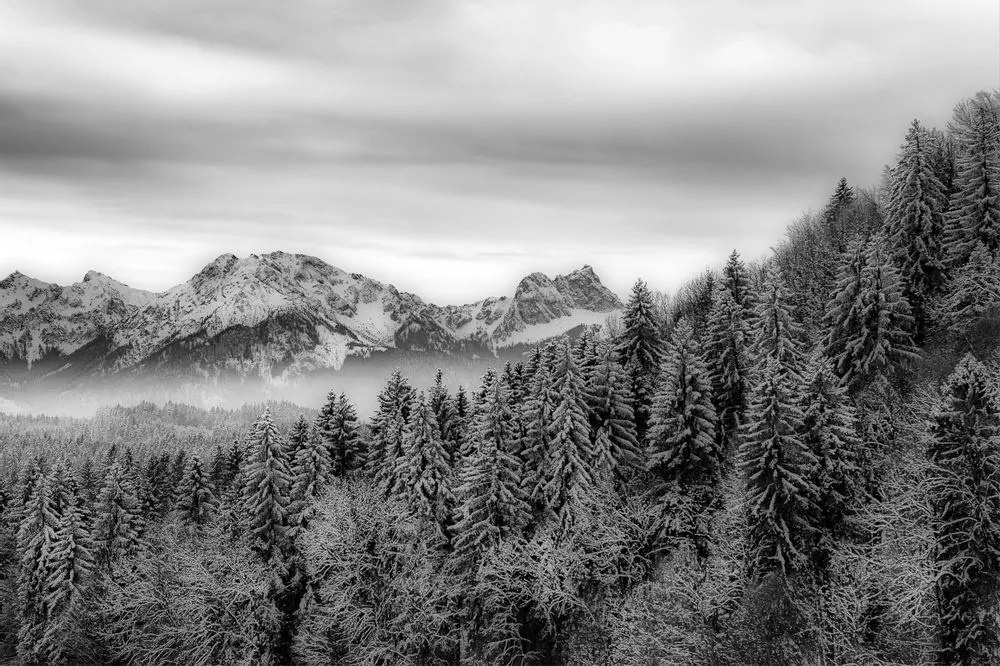 Samolepící fototapeta černobílé zmrzlé hory - 300x200 cm