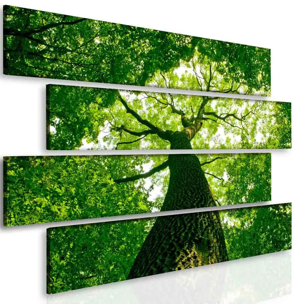 Obraz relax pod stromem (145x100 cm) - InSmile ®