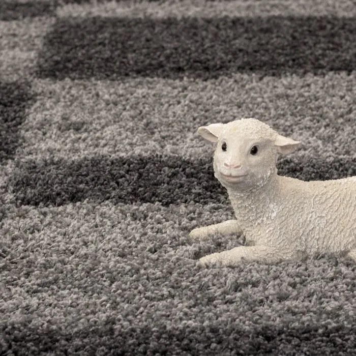 Vopi | Kusový koberec Gala shaggy 2505 grey - 240 x 340 cm