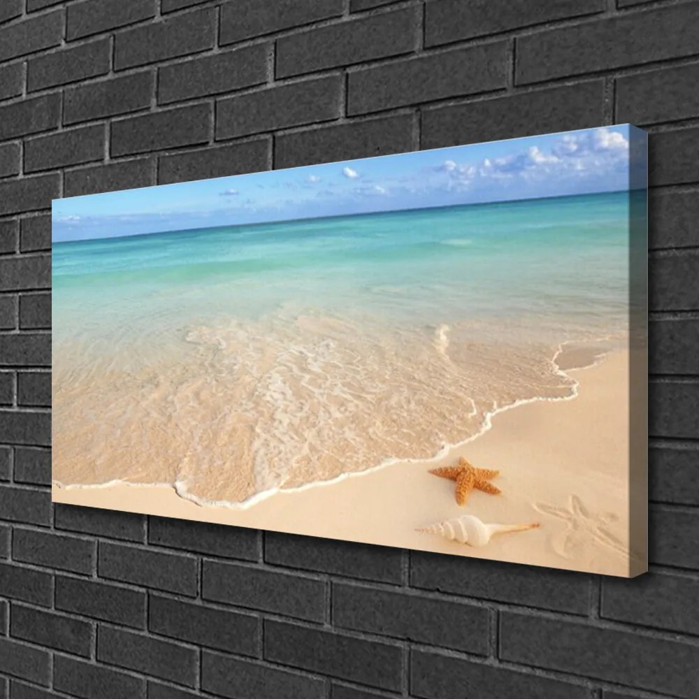 Obraz na plátně Pláž Hvězdice Krajina 125x50 cm