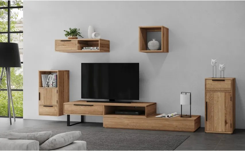 Masivní dřevěný designový TV Stolek Wellington z divokého dubu