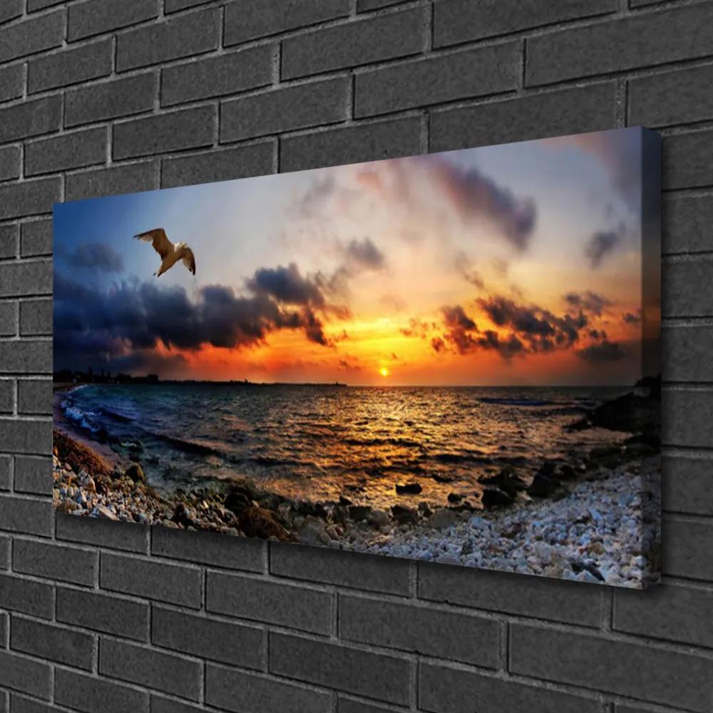 Obraz na plátně Racek Moře Pláž Krajina 125x50 cm