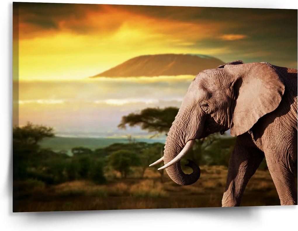 Obraz - Slon z profilu 150x110 cm