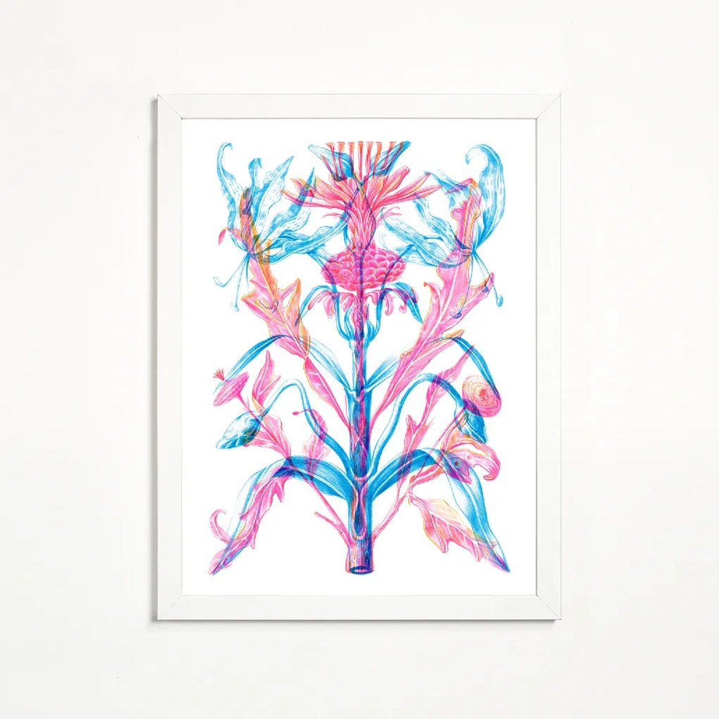 Filip Šenkeřík | Hybrid I – Liliantaurea Centaureum Rám: Černý, Velikost: 70 x 50 cm