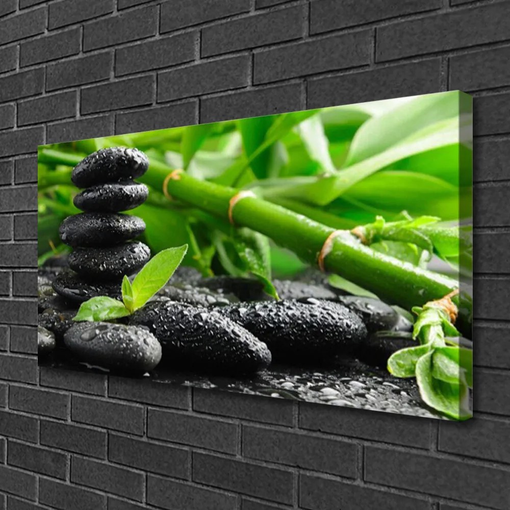 Obraz na plátně Bambus Kameny Rostlina 100x50 cm