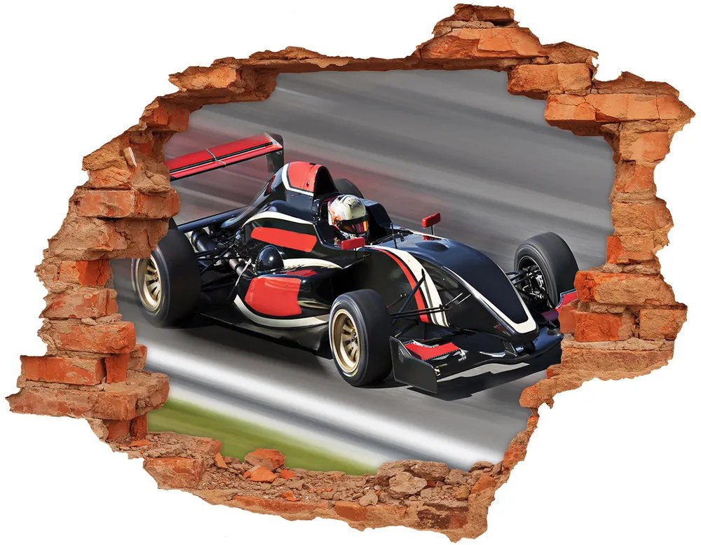 Wallmuralia Foto fotografie díra na zeď Formule 1 90x70 cm