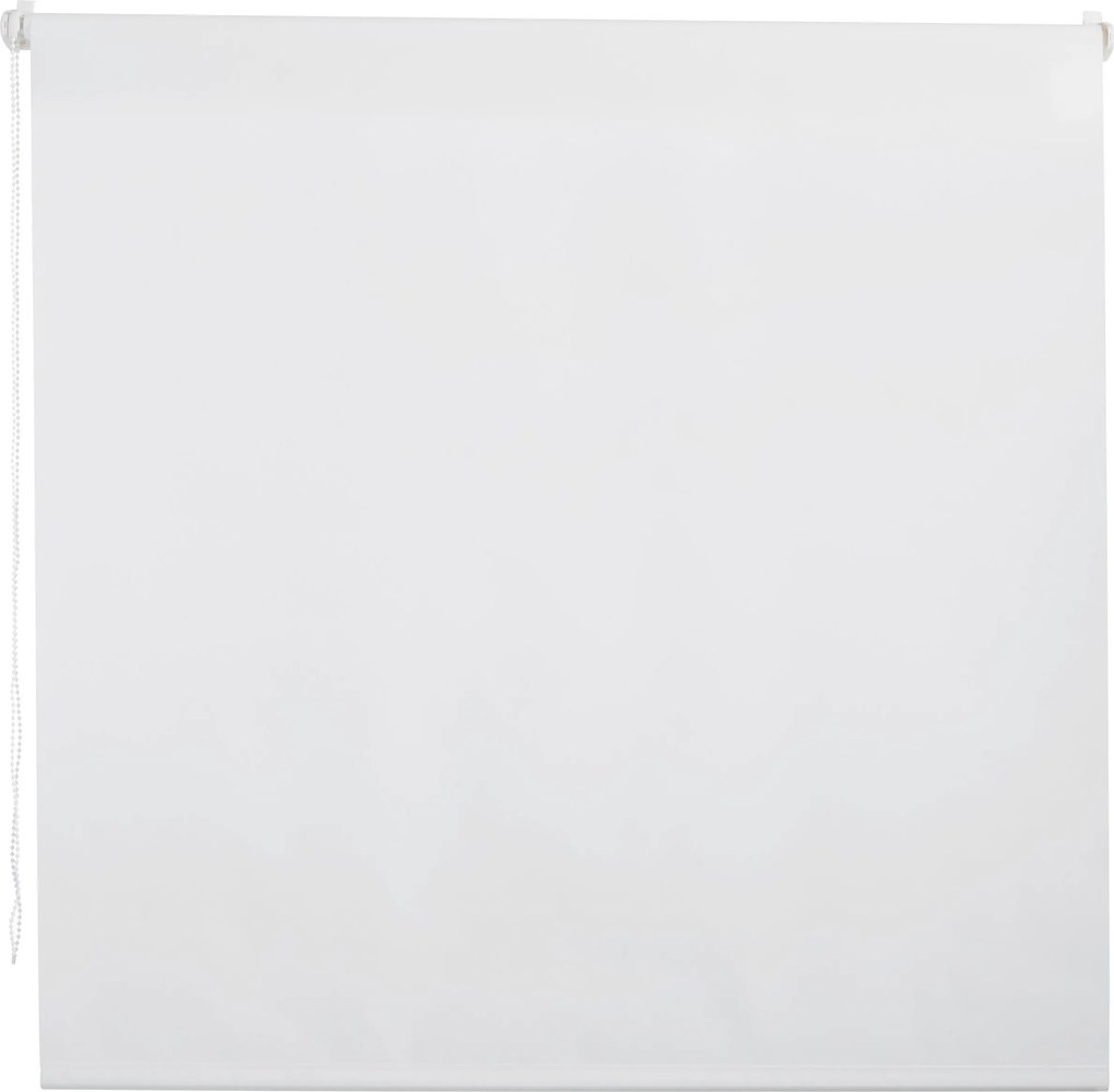 XXXLutz ROLETA, poloprůhledné, 100/160 cm Boxxx - Rolety a žaluzie - 006935020703