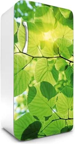 Samolepící tapety na lednici zelené listy rozměr 120 cm x 65 cm