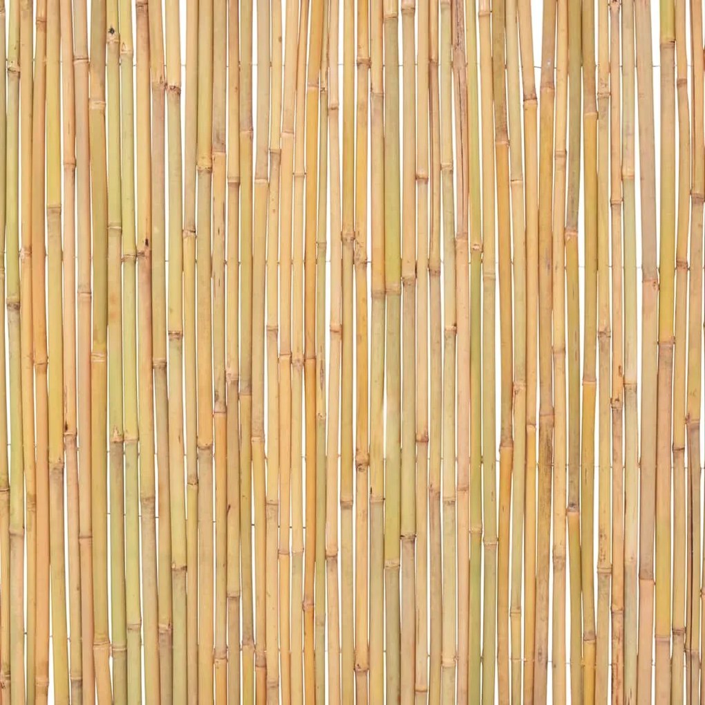Bambusový plot 300 x 100 cm 142683