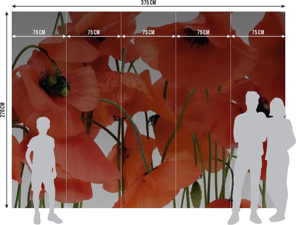 Fototapeta na míru Vlčí Mák | Vliesová fototapeta na zed' | DFTNS2461
