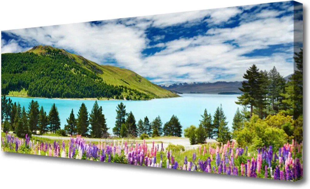 Obraz Canvas Hora Les Jezero Krajina