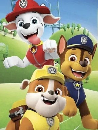 Dětská osuška PAW PATROL team 70x140cm Setino