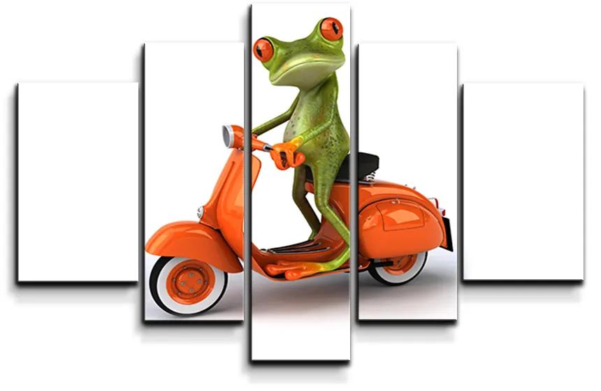 Sablio Obraz - 5-dílný Žába na motorce - 125x90 cm