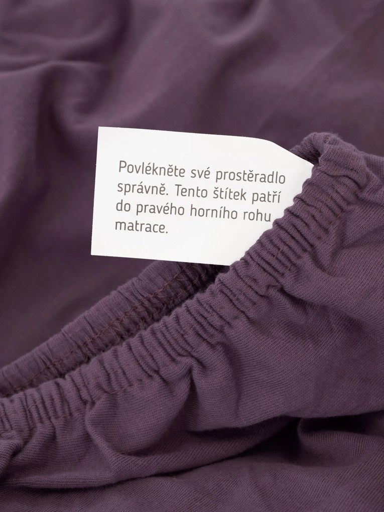 MK Lůžkoviny Jersey prostěradlo s elastanem Deluxe 220 × 200 cm – ametystová