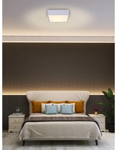 Immax NEO 07238L - LED Stmívatelné stropní svítidlo CANTO 22W/230V bílá Tuya +DO