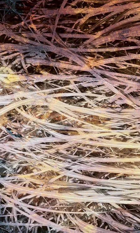 DIMEX | Vliesová fototapeta na zeď Abstrakt seno I. MS-2-0381  | 150 x 250 cm | hnědá, béžová, vícebarevná