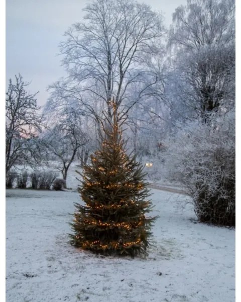 Eglo 410817 - LED Venkovní řetěz GOLDEN 1200xLED 29m IP44 teplá bílá