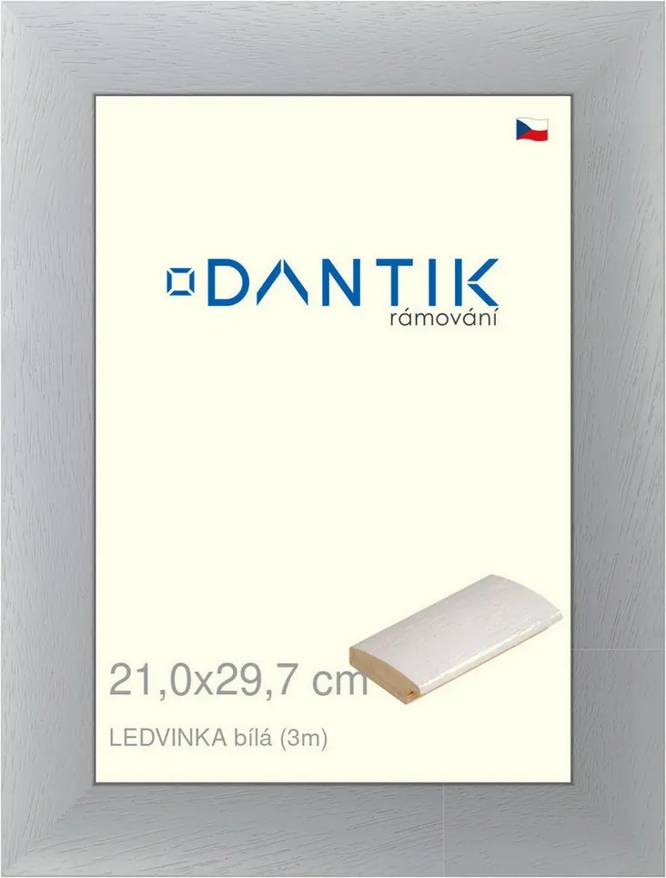 DANTIK rámeček 21x29,7 | LEDVINKA bílá (Sklo Čiré)