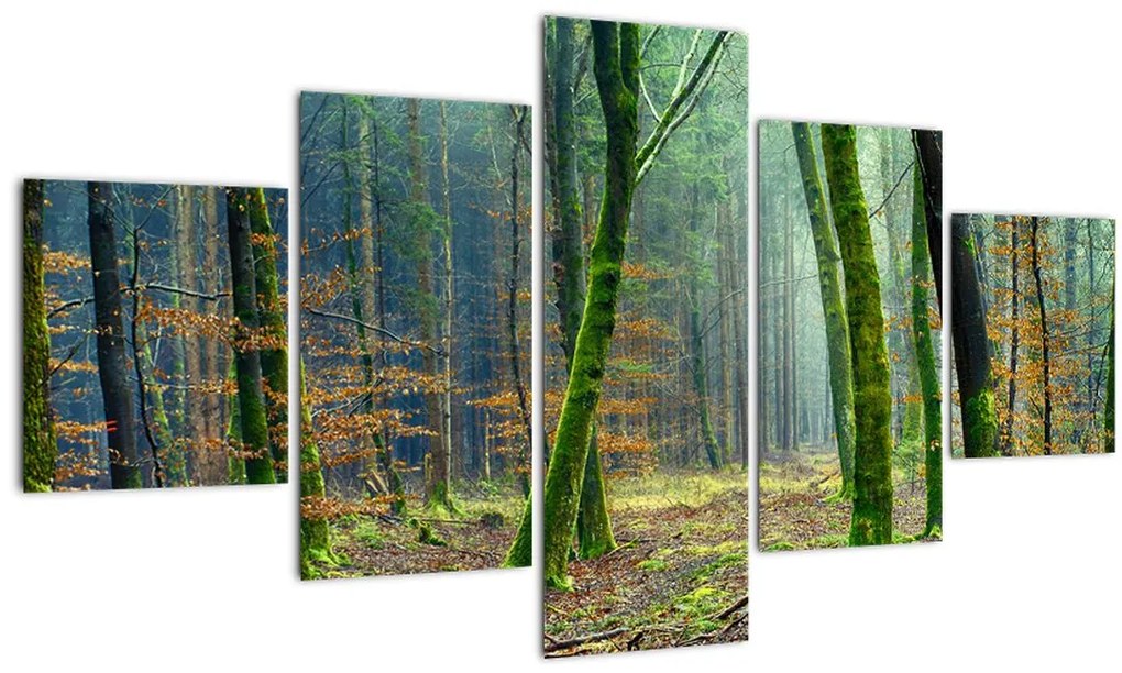 Obraz lesa (125x70 cm)