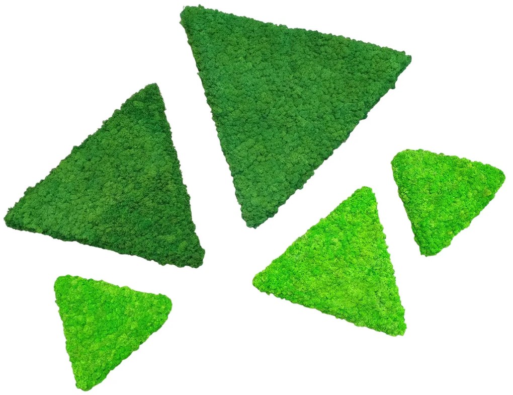 Mechový obraz|sada 2, 3 nebo 4 trojúhelníků | sobí mech Barva lišejníku: tmavě zelená, Počet obrazů v sadě: 3 kusy