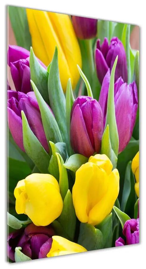 Wallmuralia Foto obraz akrylový Barevné tulipány 70x140 cm
