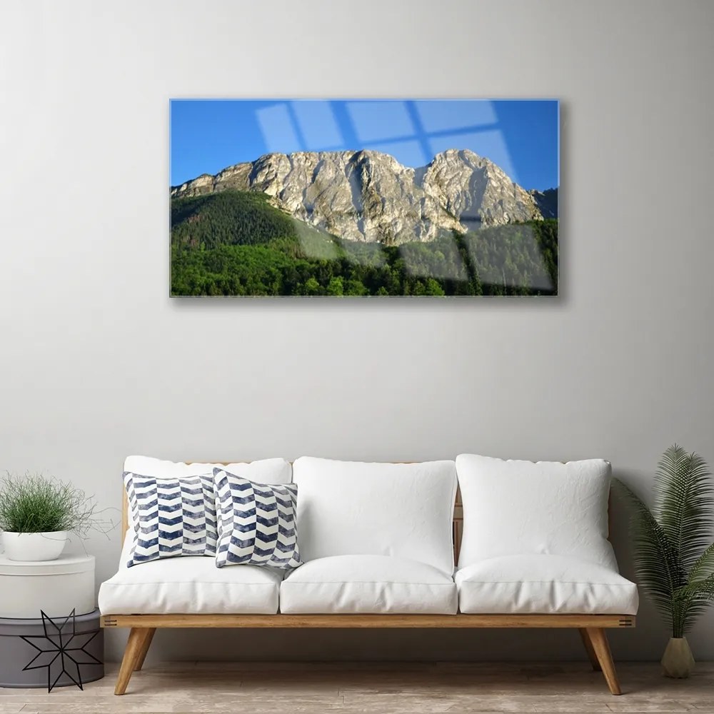 Obraz na skle Hora Les Příroda 125x50 cm