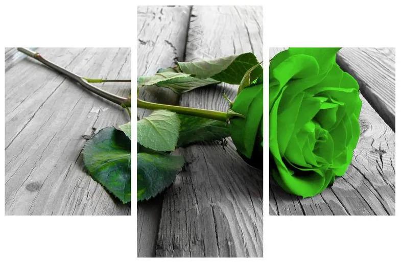 Obraz zelené růže (90x60 cm)