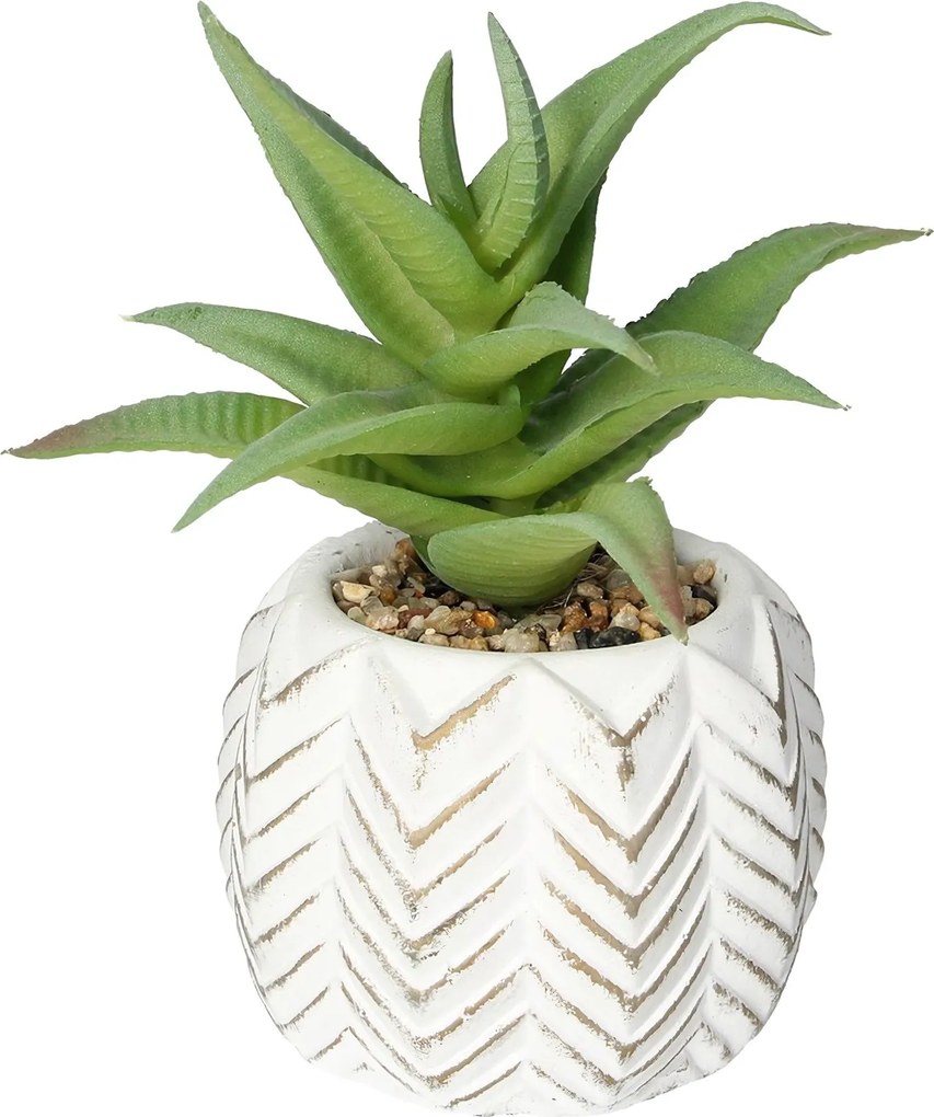 Dekorace Aloes I 14cm