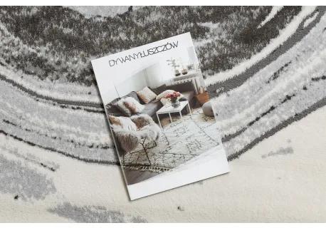 Dywany Luszczow Kusový koberec LIRA E1686 Abstraktní, šedá Rozměr koberce: 120 x 170 cm