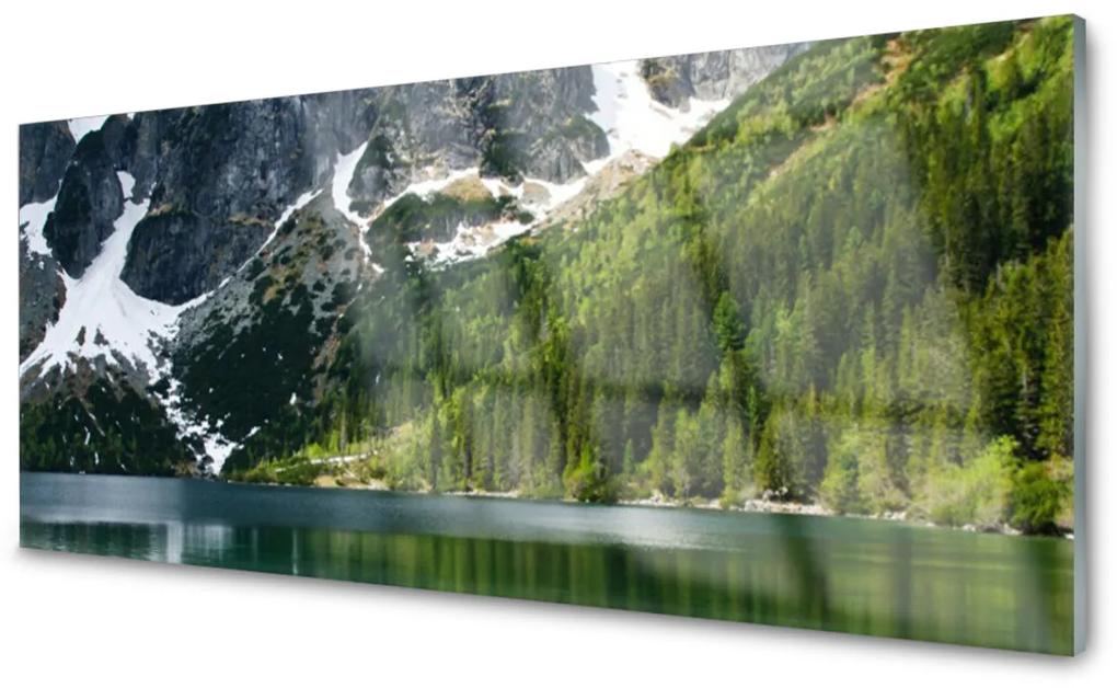 Skleněný obraz Jezero Les Hory Krajina