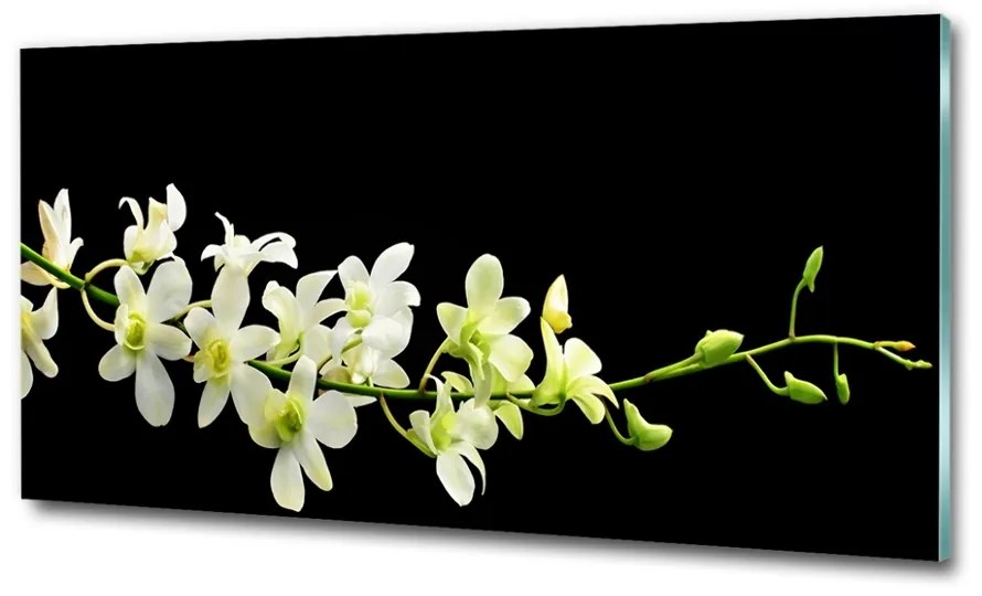 Wallmuralia Foto obraz sklo tvrzené Orchidej 100x50