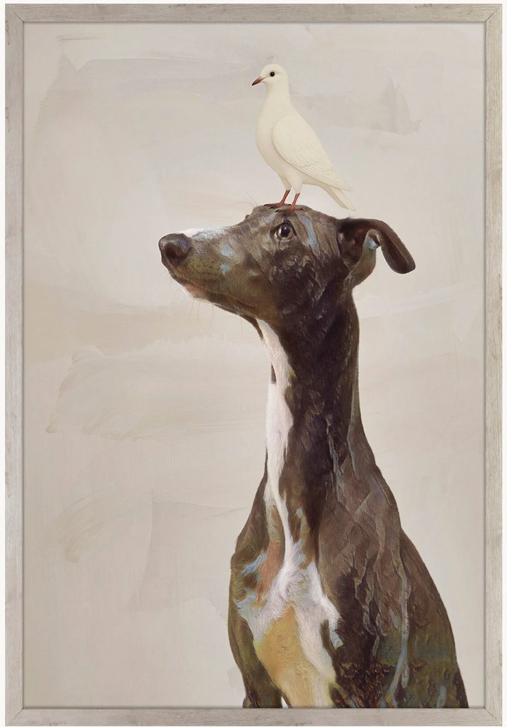 Zarámovaný digitální tisk Greyhound Dog And Dove