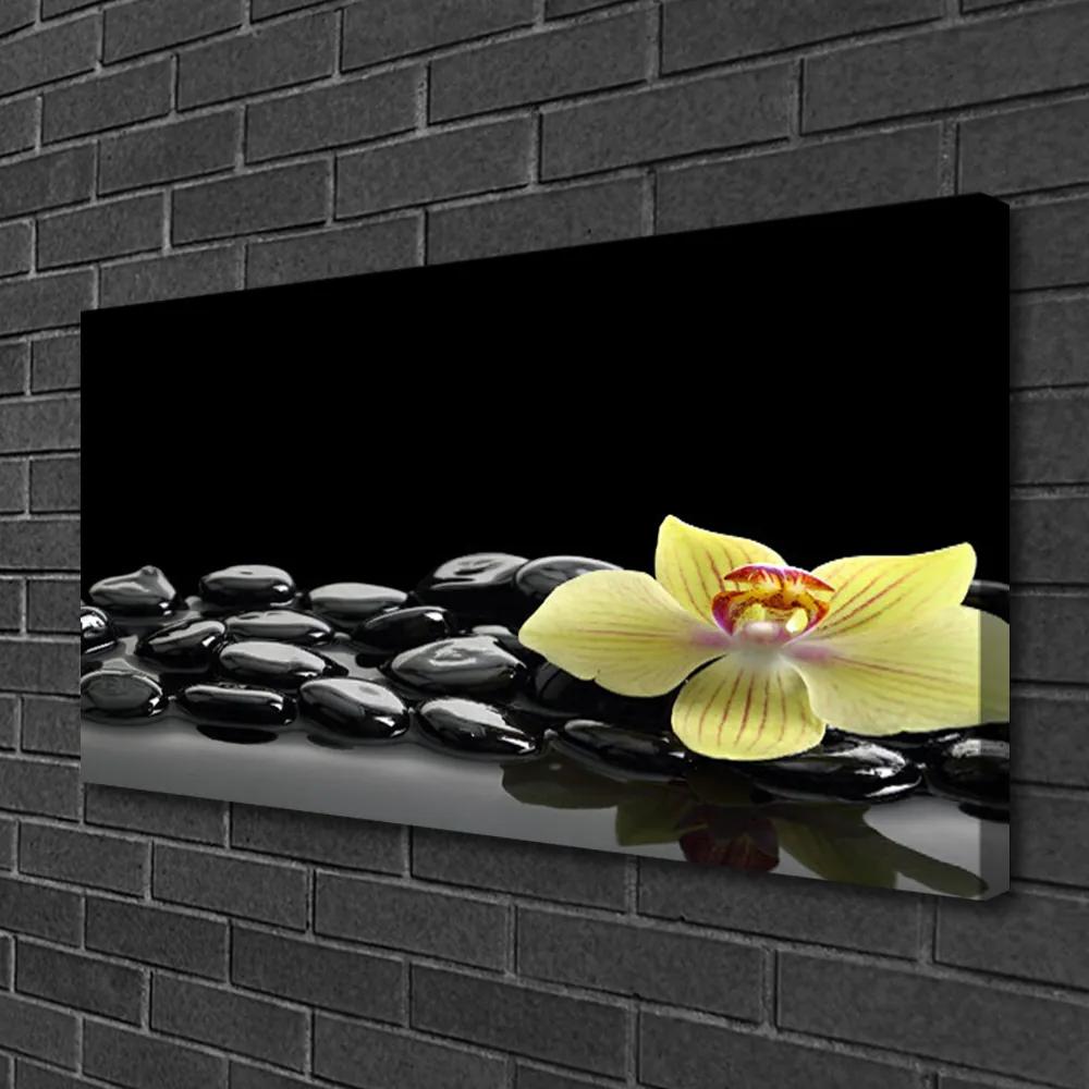 Obraz na plátně Květ Kameny Kuchyně 125x50 cm
