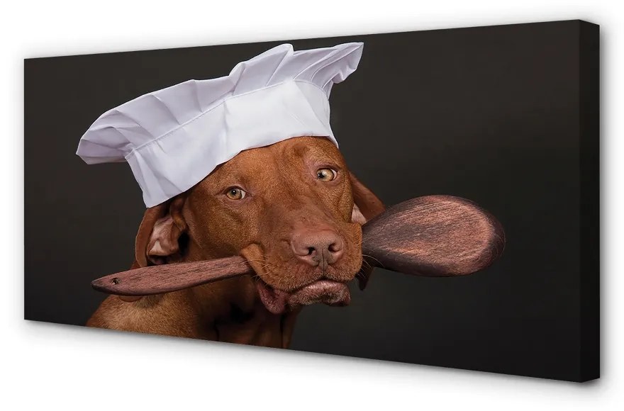 Obrazy na plátně dog chef 100x50 cm