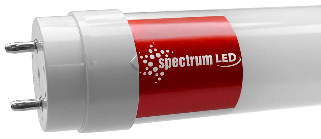 Spectrum LED LED Tube Cool White 120CM T8 230V 17W WOJ+22305