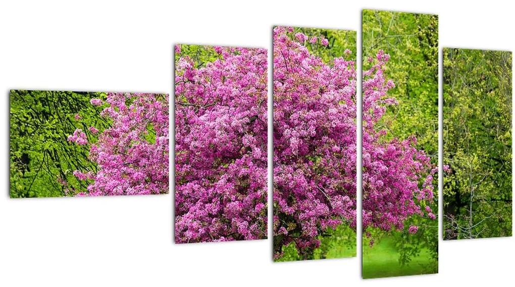 Obraz rozkvetlého stromu na louce (110x60 cm), 40 dalších rozměrů