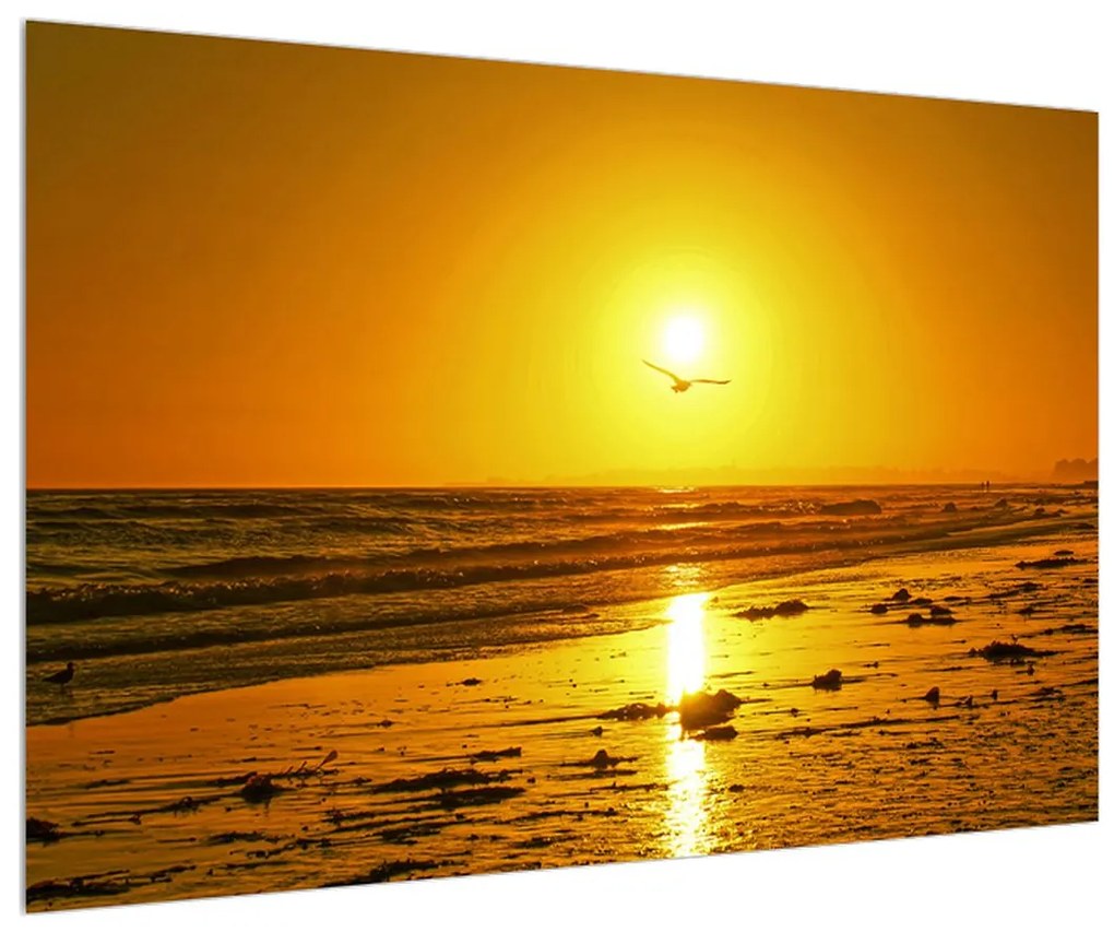 Obraz mořské pláže (90x60 cm)