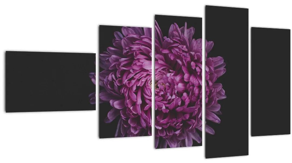 Obraz fialové květiny (110x60 cm), 40 dalších rozměrů