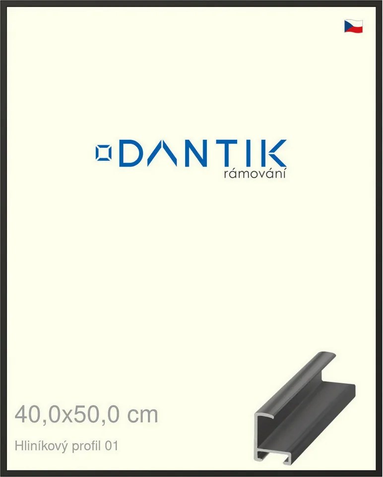 DANTIK rámeček 40x50 | ALU profil 6001 Černá matná (Sklo Čiré)