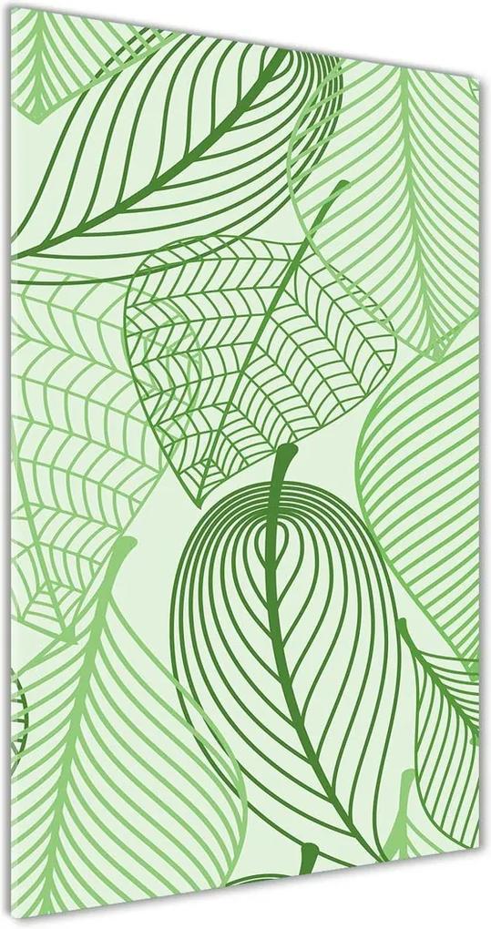 Foto-obraz canvas do obýváku Zelené listí